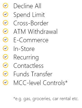 Visa Transaction Control | Visa Developer Center